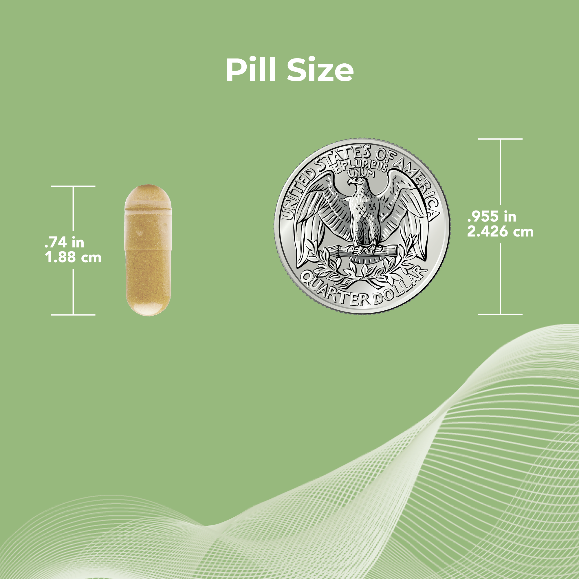 IsoRel Whole Soybean Extract Supplement | Theralogix